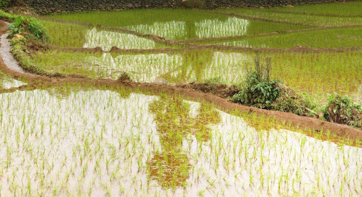 Nature Sustainability