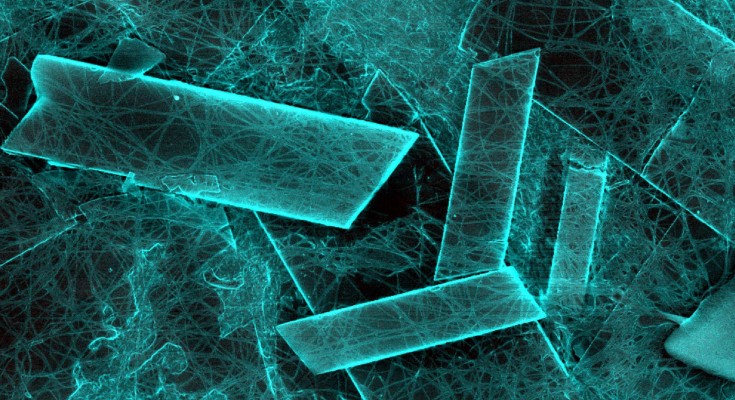Communications Materials
