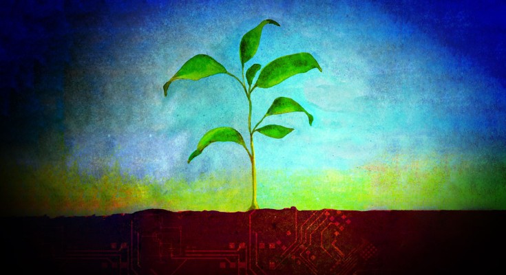 Nature Computational Science