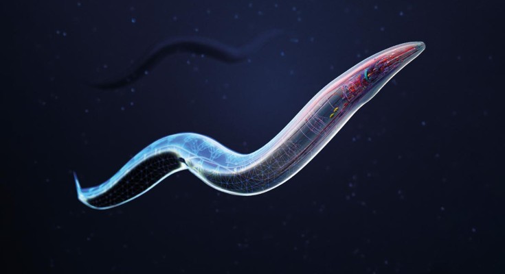 Nature Computational Science