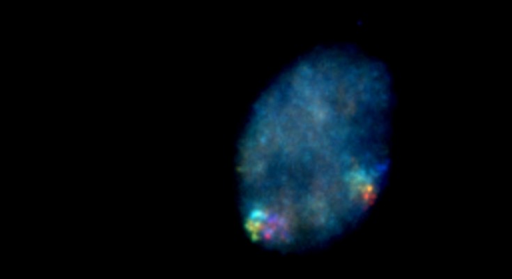 Nature Reviews Methods Primers