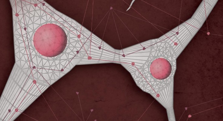 Nature Cardiovascular Research