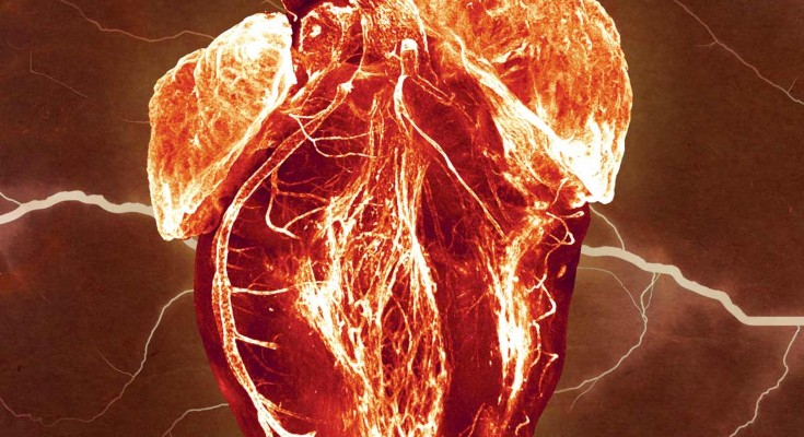 Nature Cardiovascular Research