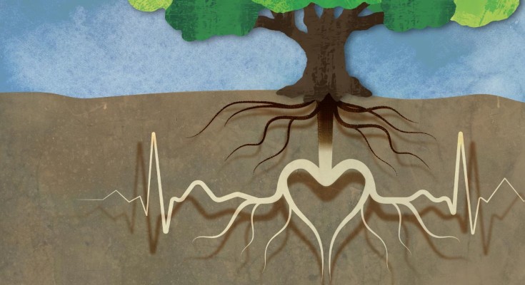 Nature Cardiovascular Research
