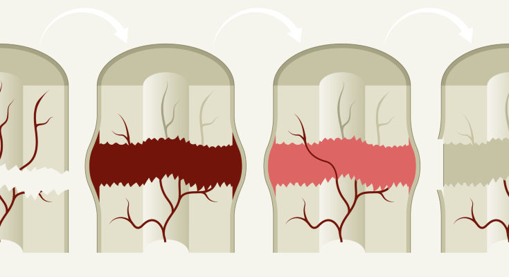 Nature Reviews Disease Primers
