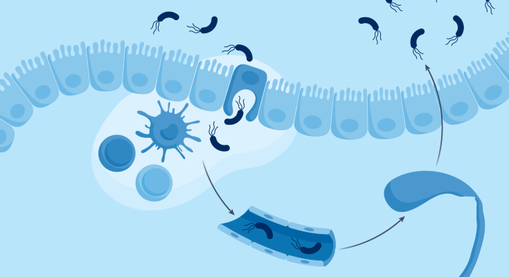 Nature Reviews Disease Primers