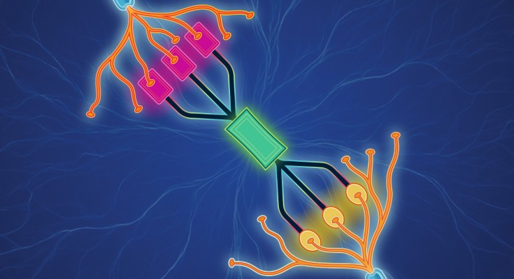 Nature Reviews Electrical Engineering