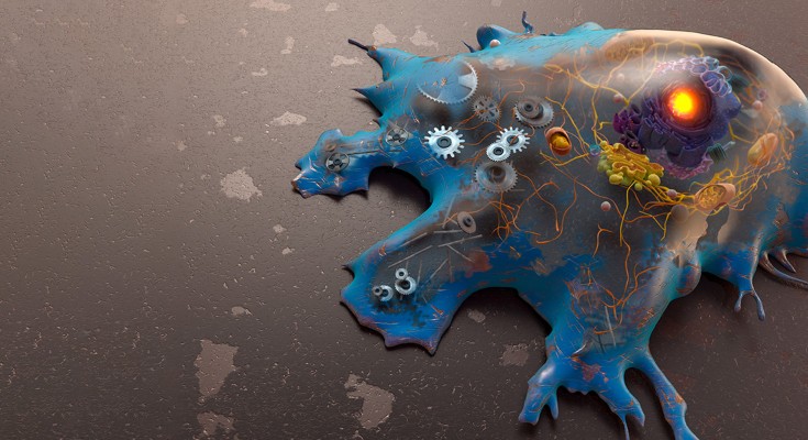 npj Biological Physics and Mechanics