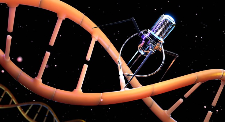 npj Biomedical Innovations