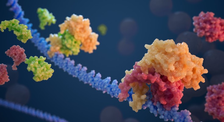Signal Transduction and Targeted Therapy