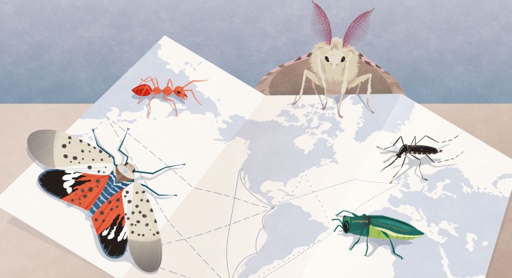 Nature Reviews Biodiversity