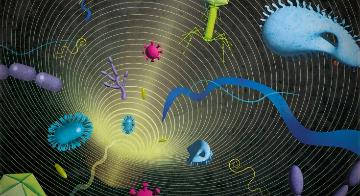 Nature Microbiology