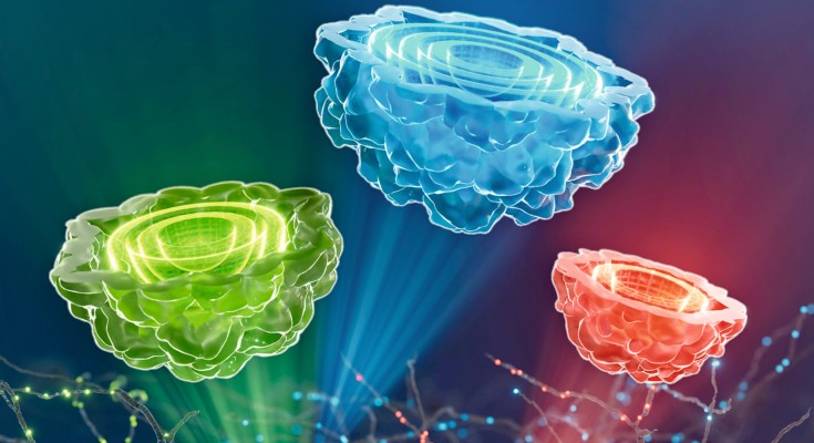 Nature Biotechnology