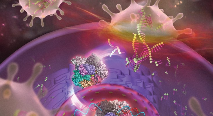 Nature Biomedical Engineering