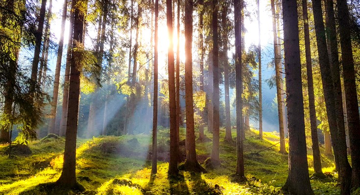 Nature Climate Change