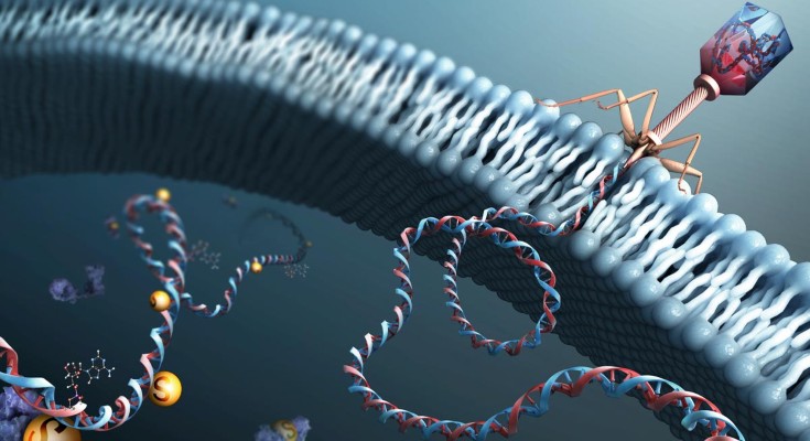 Nature Chemical Biology