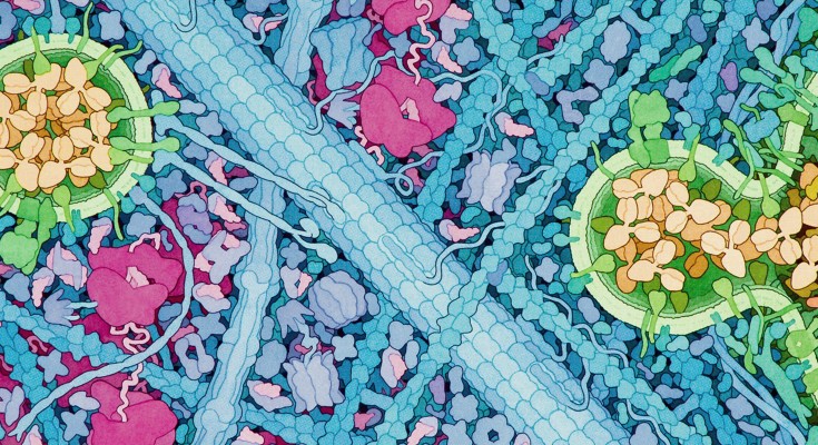 Nature Structural & Molecular Biology