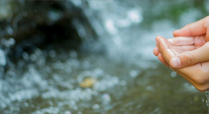 Journal of Exposure Science & Environmental Epidemiology