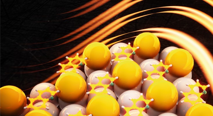 Nature Nanotechnology