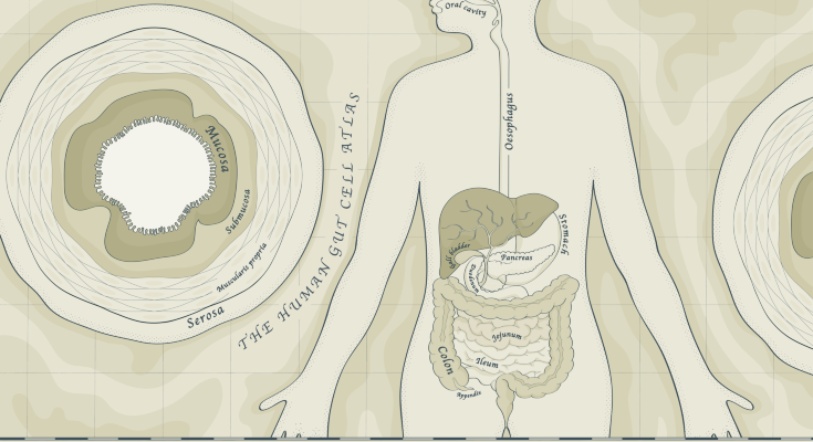 Nature Reviews Gastroenterology & Hepatology