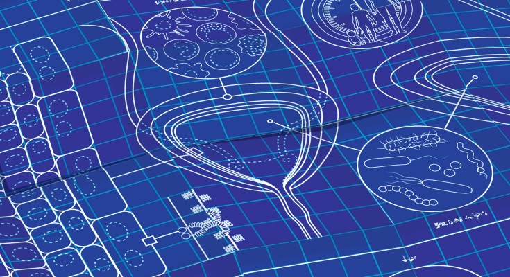 Nature Reviews Urology