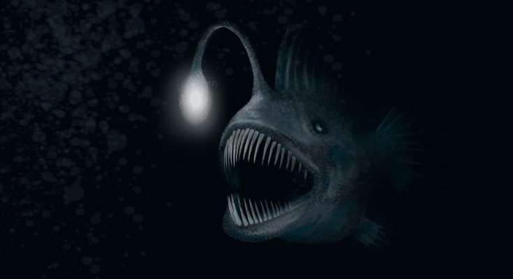 Nature Reviews Immunology