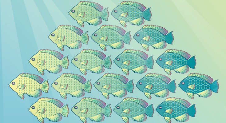 Nature Reviews Nephrology