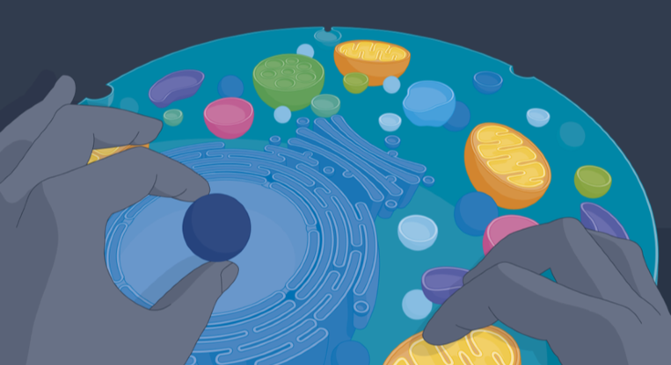 Nature Reviews Molecular Cell Biology