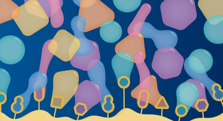 Nature Reviews Molecular Cell Biology