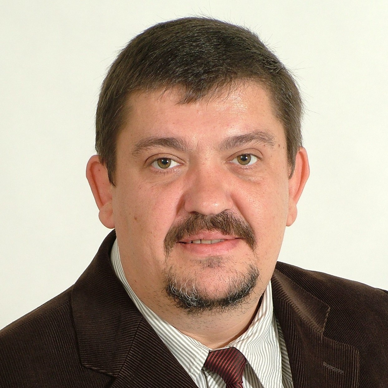 Solid oxide fuel cells and electrolysis cells – SOFCs/SOECs | SpringerLink