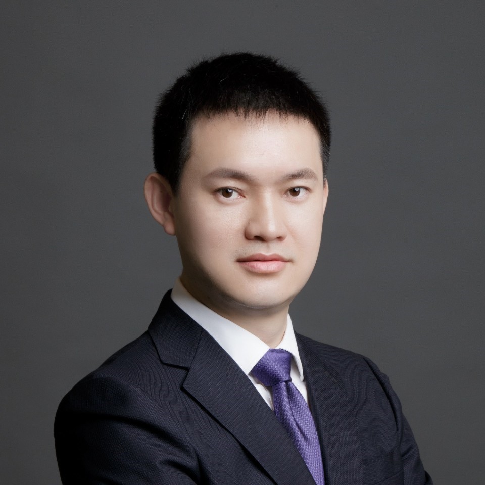 Bio-Nano Interfaces in Biomedicine | SpringerLink