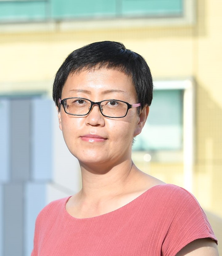 Conversational Recommender Systems: Theory, Models, Evaluations, and ...