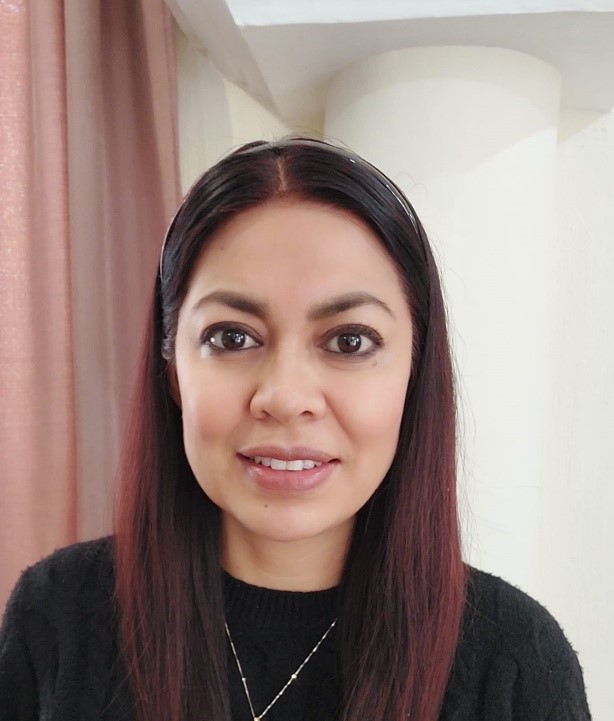 Electrochemistry in Latin America I | SpringerLink