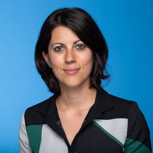 Virtues, Wisdom, and Expertise | SpringerLink