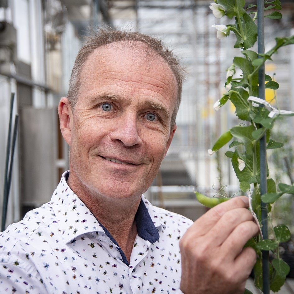 Hormones in plant reproduction | SpringerLink