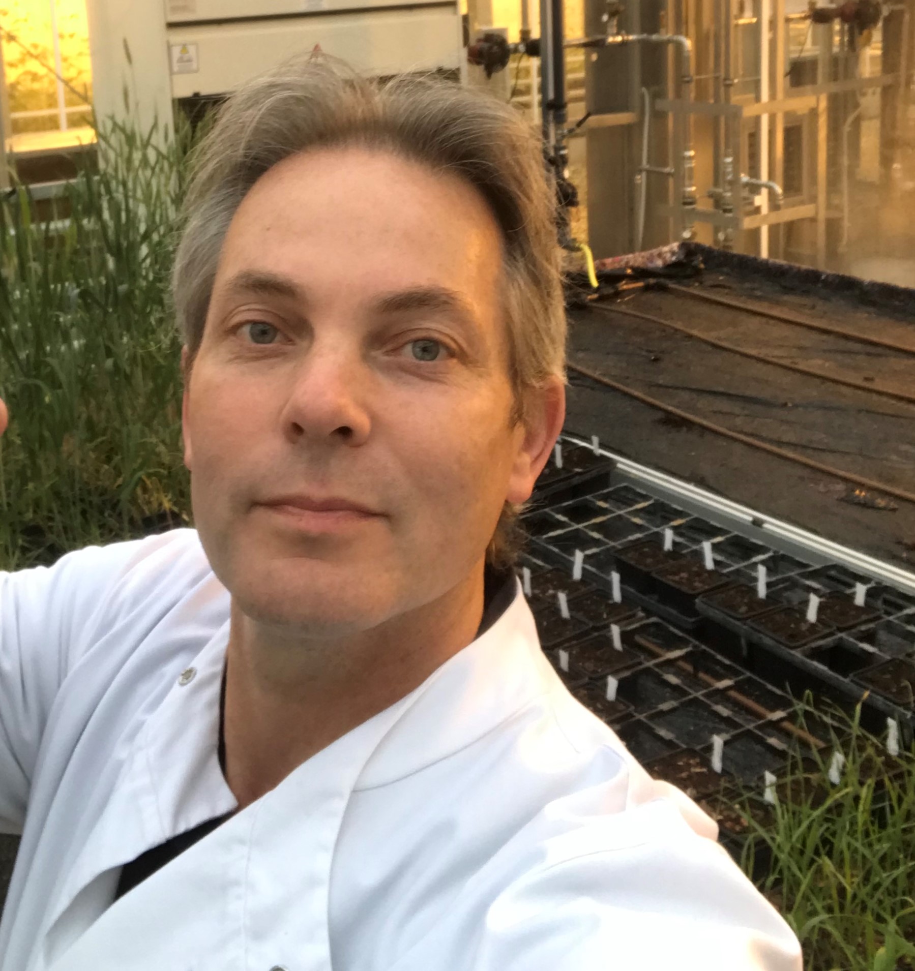 Assessing and mining crop genetic diversity | SpringerLink