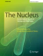 Home | The Nucleus