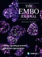 Home | The EMBO Journal