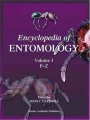Encyclopedia of Entomology | Springer Nature Link (formerly SpringerLink)