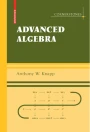 Advanced Algebra | SpringerLink