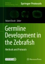 Germline Development in the Zebrafish: Methods and Protocols | SpringerLink