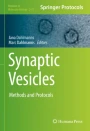Synaptic Vesicles: Methods and Protocols | Springer Nature Link ...