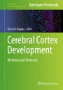 Cerebral Cortex Development: Methods and Protocols | SpringerLink