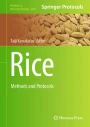 Rice: Methods and Protocols | SpringerLink