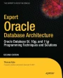 Expert Oracle Database Architecture: Oracle Database 9i, 10g, and 11g Programming Techniques and ...