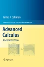 Advanced Calculus: A Geometric View | SpringerLink