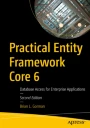 Practical Entity Framework Core 6: Database Access for Enterprise Applications | SpringerLink