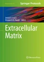 Extracellular Matrix | SpringerLink
