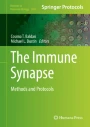 The Immune Synapse: Methods and Protocols | SpringerLink