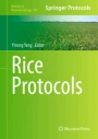 Rice Protocols | SpringerLink